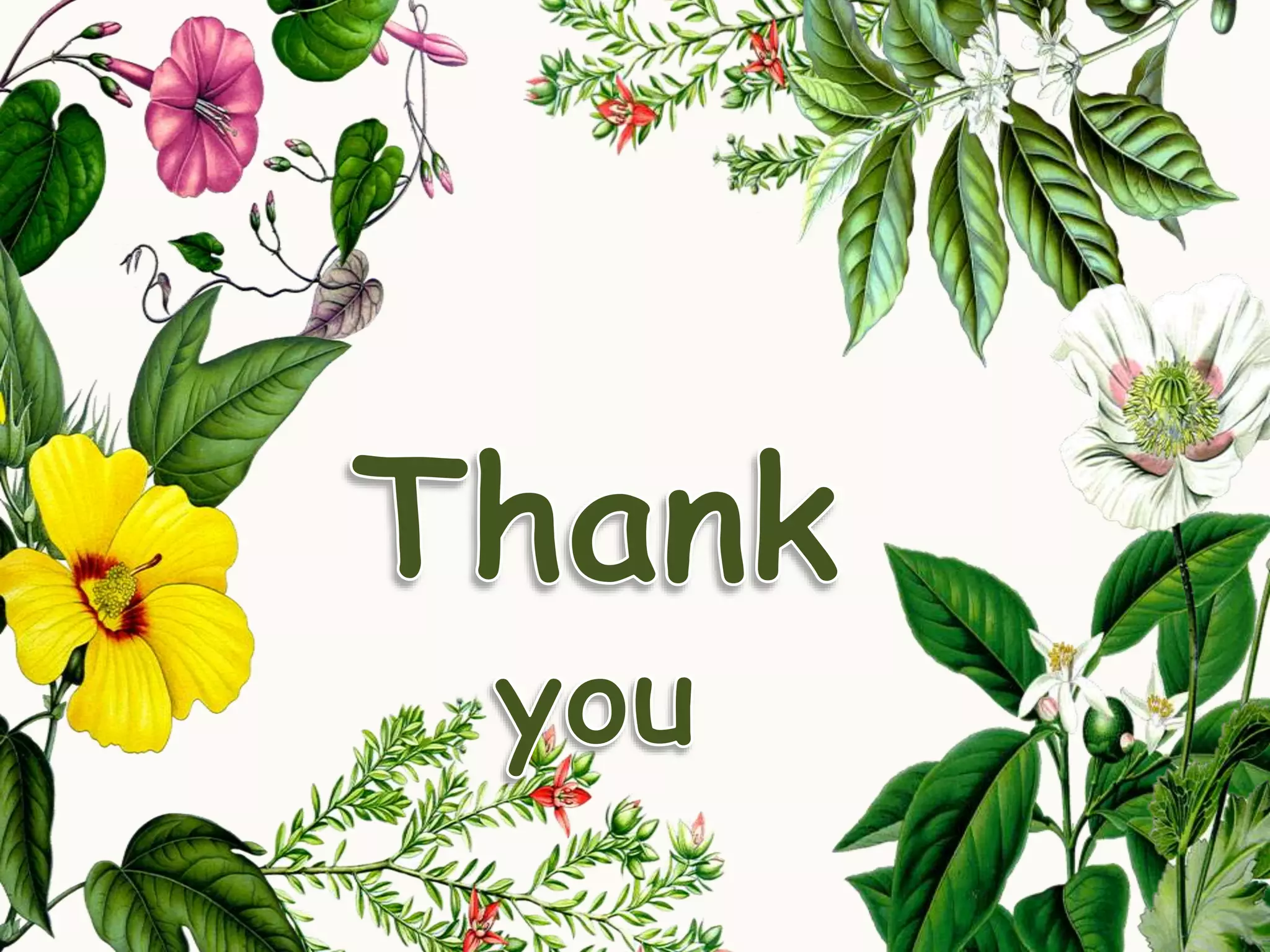 Rapeseed & Mustard ppt by Haseena Shabnam | PPTX