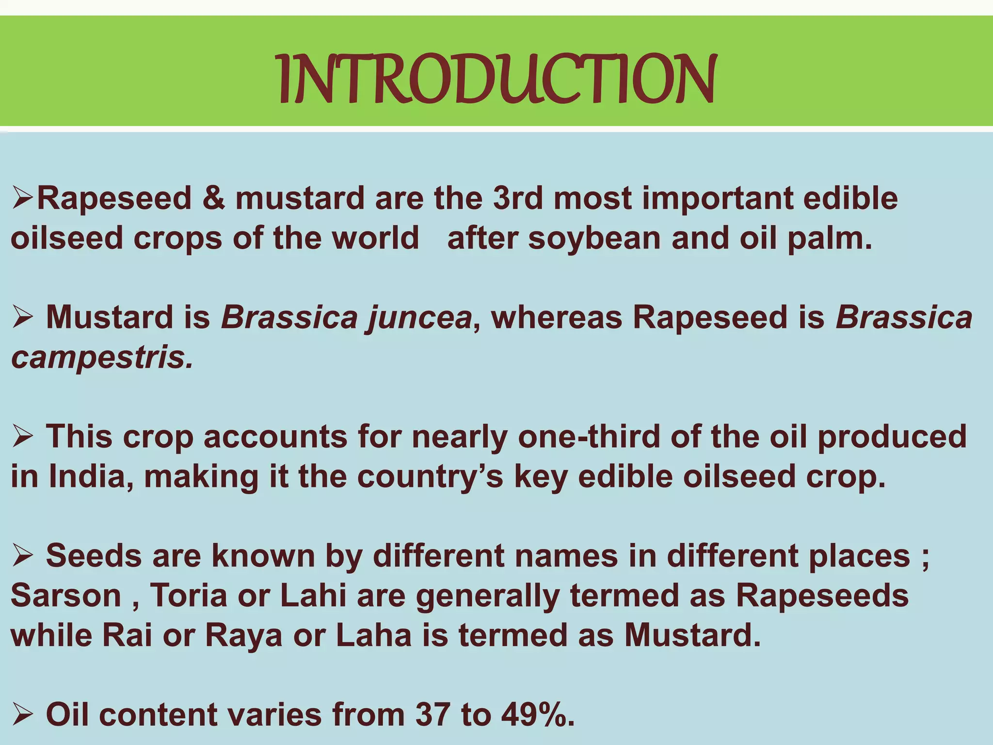Rapeseed & Mustard ppt by Haseena Shabnam | PPTX