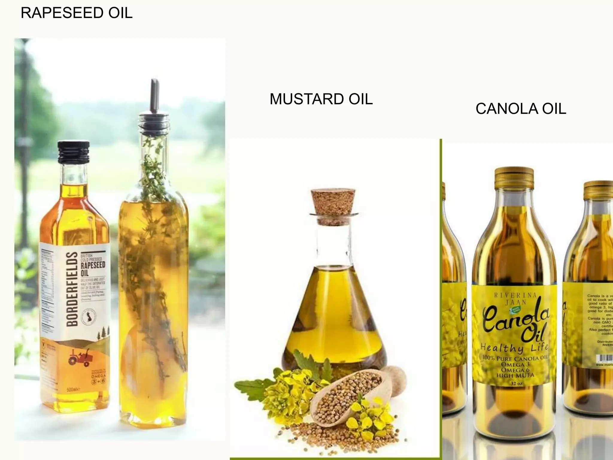 Rapeseed & Mustard ppt by Haseena Shabnam | PPTX