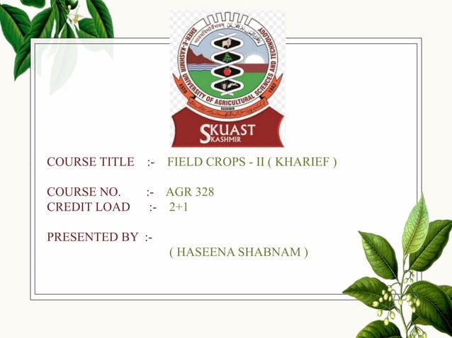 Rapeseed & Mustard ppt by Haseena Shabnam | PPTX | Agriculture | Industries