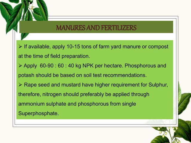 Rapeseed & Mustard ppt by Haseena Shabnam | PPTX | Agriculture | Industries