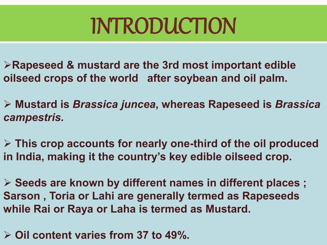 Rapeseed & Mustard ppt by Haseena Shabnam | PPTX | Agriculture | Industries