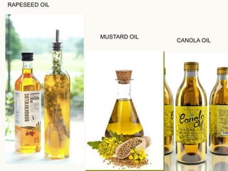 Rapeseed & Mustard ppt by Haseena Shabnam | PPTX