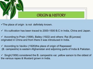 Rapeseed & Mustard ppt by Haseena Shabnam | PPTX