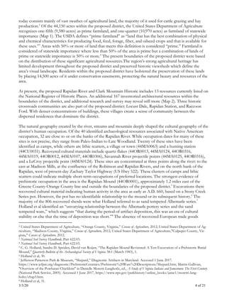 Rapidan Preliminary Information Form | PDF