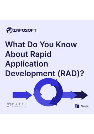 Rapid Application Development Methodology | PDF