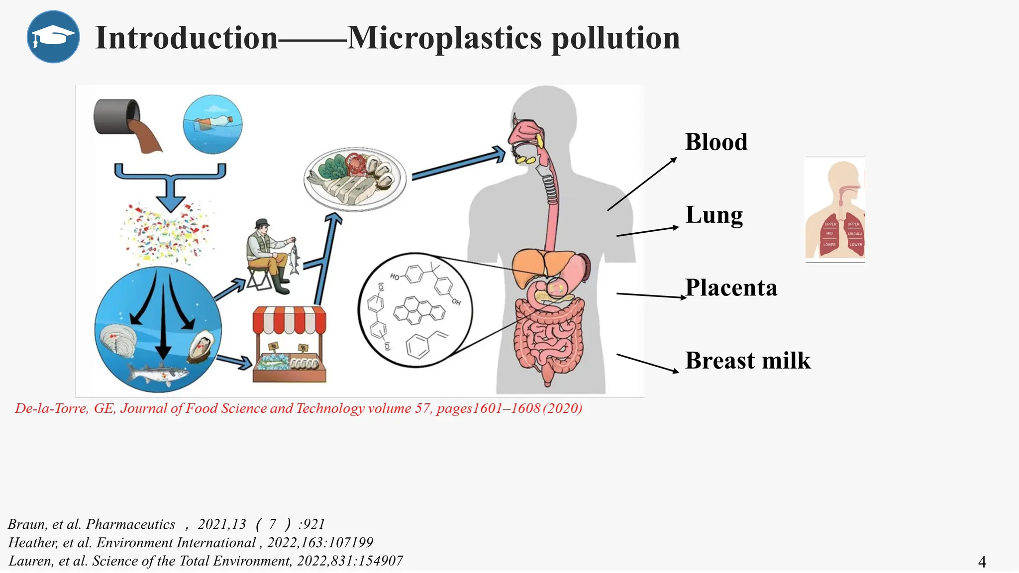 Rapid detection of microplastics in food and environment using ...