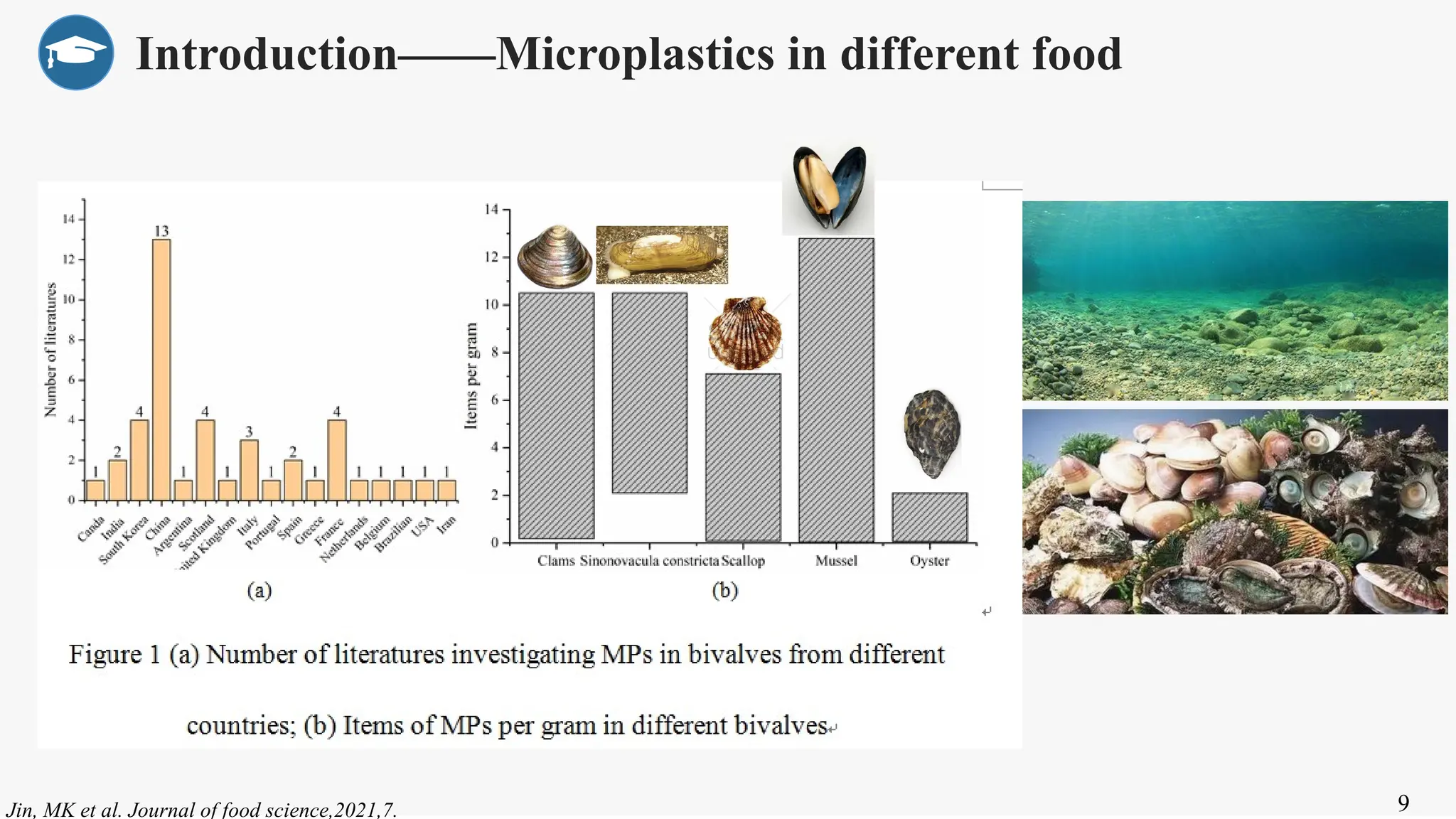 Rapid detection of microplastics in food and environment using ...