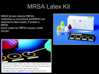 Rapid diagnosis of infectious diseases | PPT