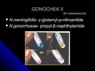 Rapid diagnosis of infectious diseases | PPT