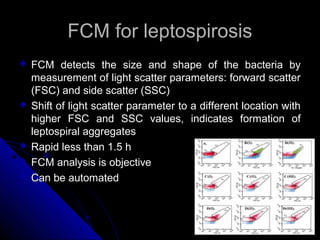 Rapid diagnosis of infectious diseases | PPT