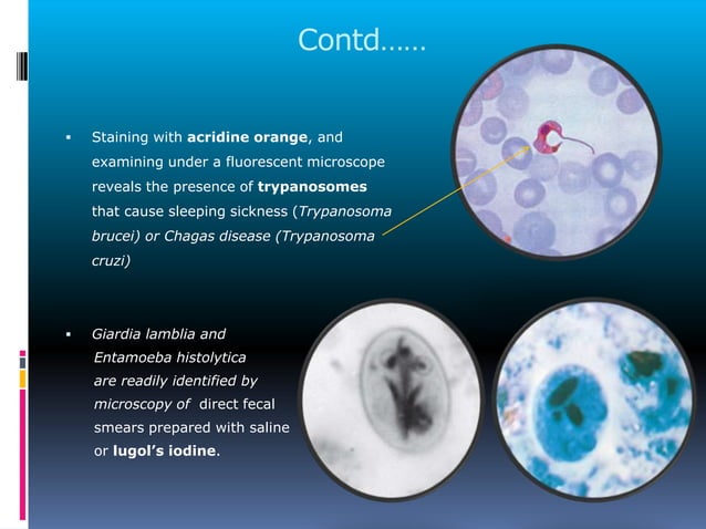 Rapid Diagnostic Techniques for Detection of Infectious Diseases | PPTX