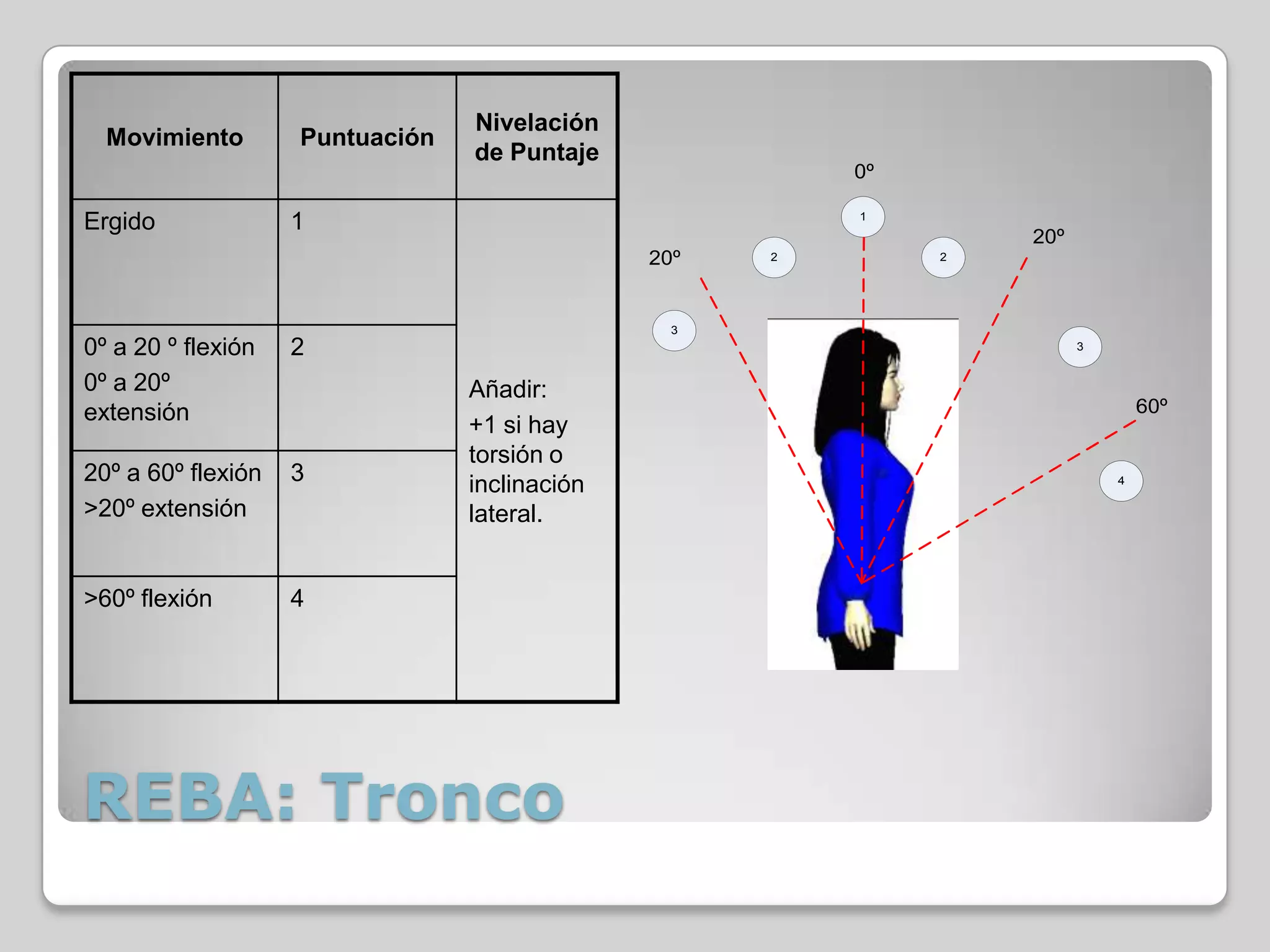 Rapid entire body assessment | PPT