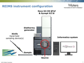 Rapid evaporative ionisation mass spectrometry (REIMS) for Food ...