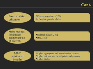 Rapid improvement of quality protein maize | PPT