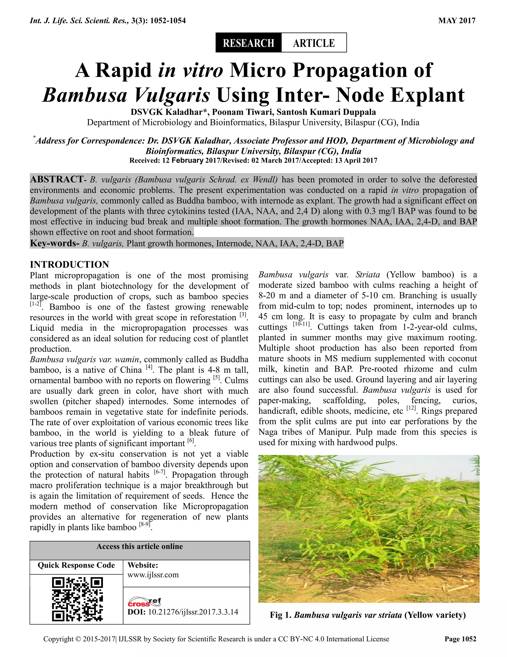 A Rapid in vitro Micro Propagation of Bambusa Vulgaris Using Inter ...