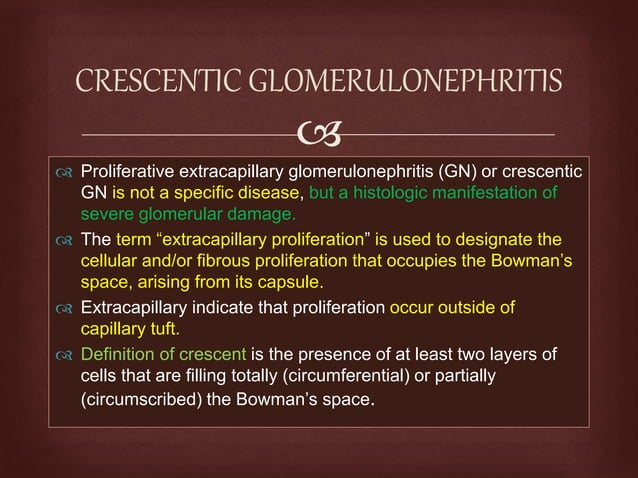 Rapidly progressive glomerulonephritis | PPTX