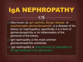 Rapidly progressive glomerulonephritis | PPTX