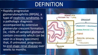 Rapidly progressive glomerulonephritis.pptx