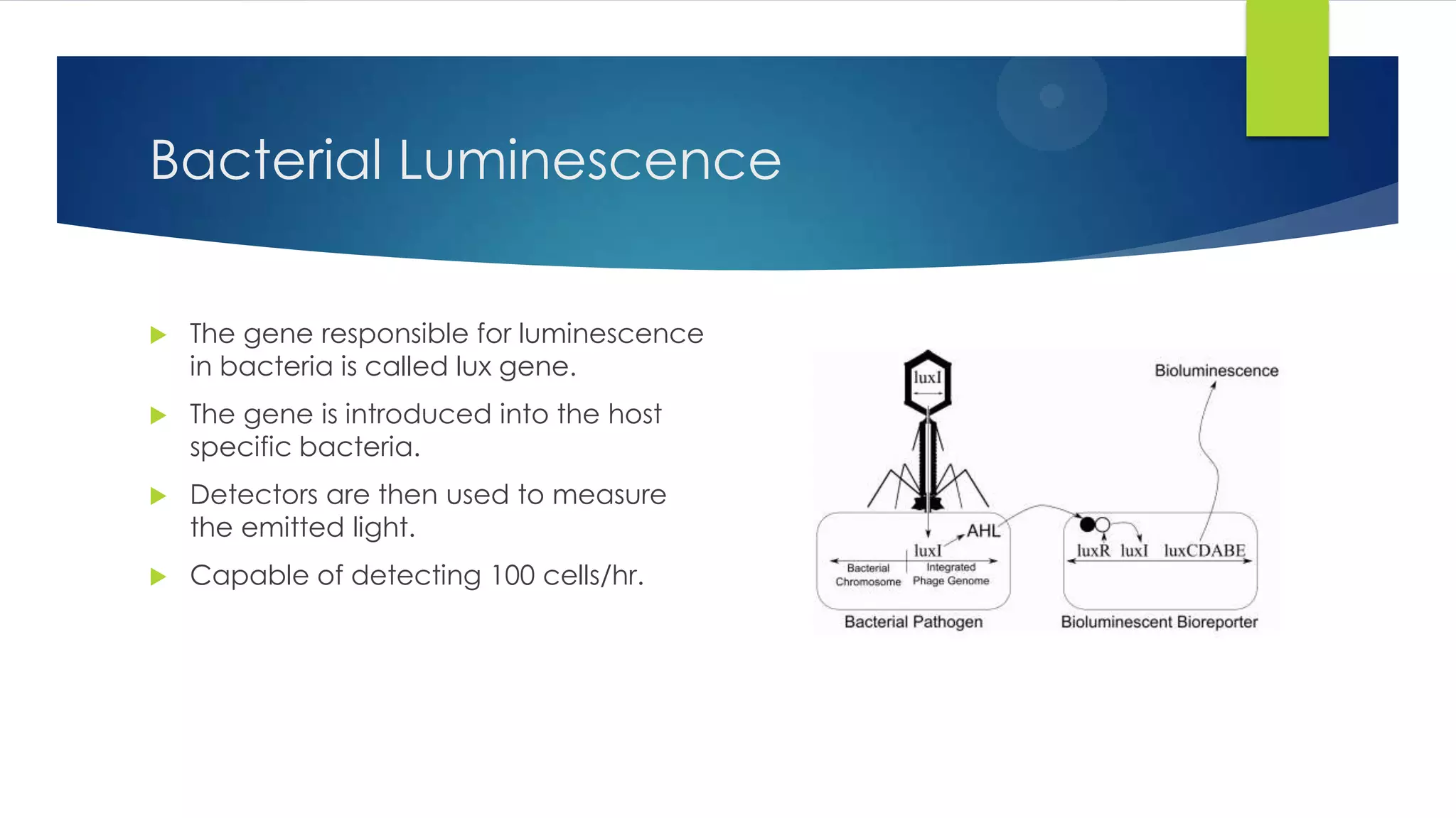 Rapid methods for detection of Food-borne Pathogens. | PPTX | Genetics ...
