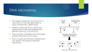 Rapid methods for detection of Food-borne Pathogens. | PPTX