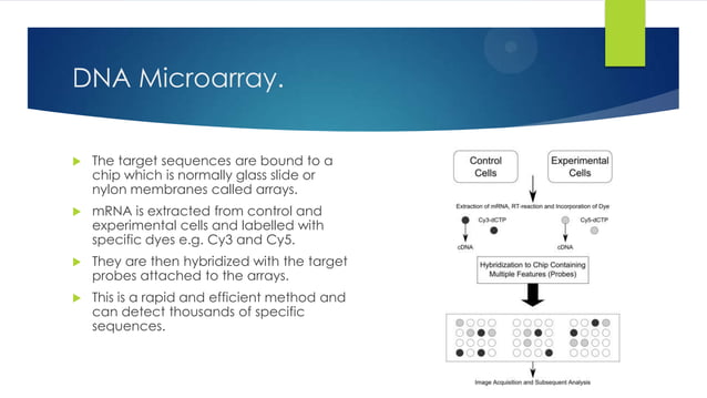 Rapid methods for detection of Food-borne Pathogens. | PPTX | Genetics | Science