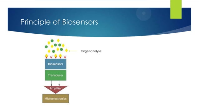 Rapid methods for detection of Food-borne Pathogens. | PPTX | Genetics | Science