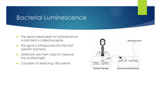 Rapid methods for detection of Food-borne Pathogens. | PPTX