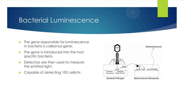 Rapid methods for detection of Food-borne Pathogens. | PPTX | Genetics | Science