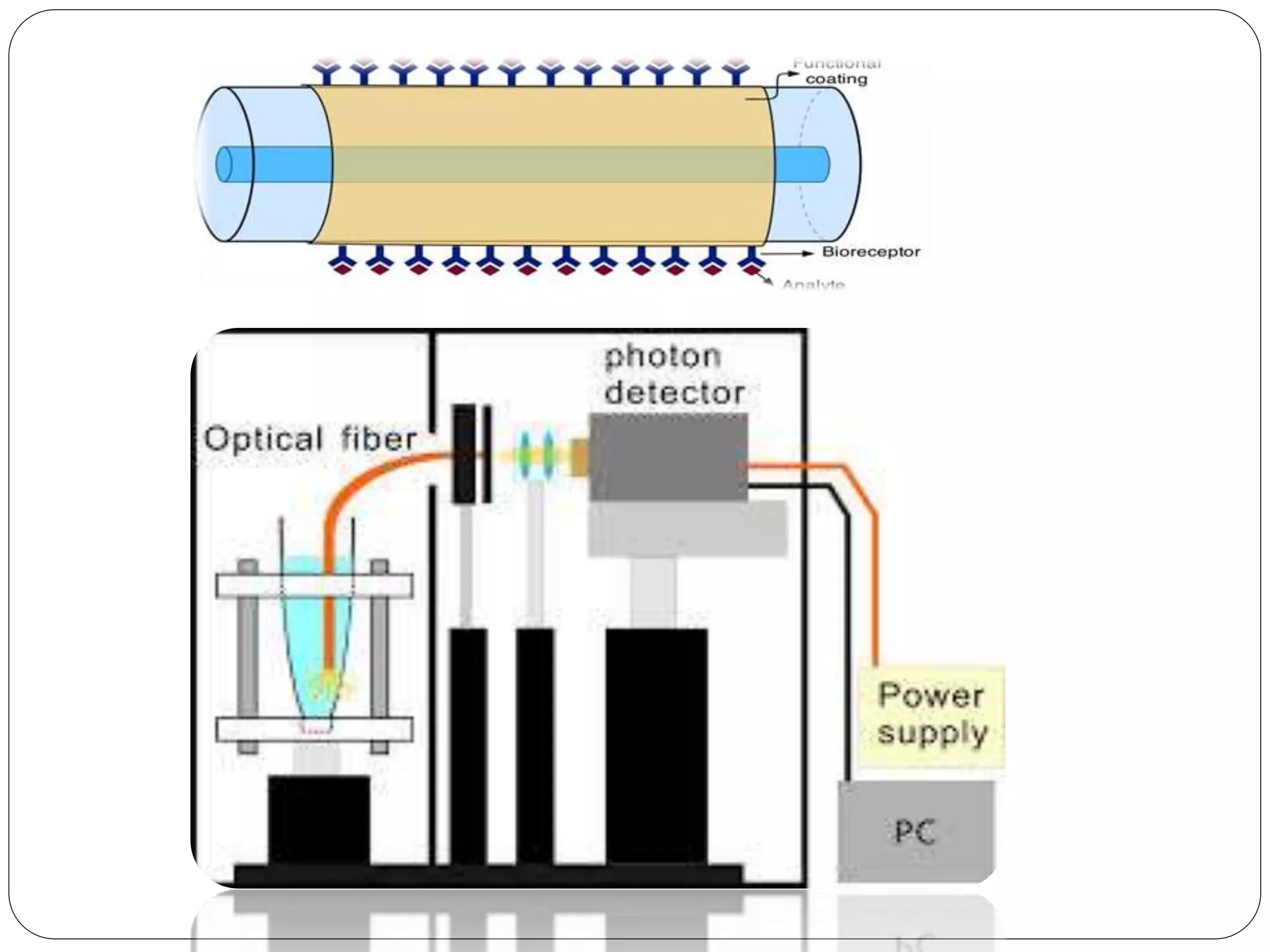 Rapid Methods Of Detection Of Food Borne Pathogens Pptx