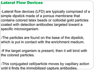 Rapid methods of detection of food borne pathogens | PPTX