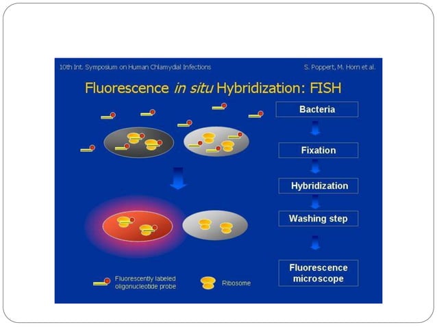 Rapid methods of detection of food borne pathogens | PPTX | Chemistry | Science