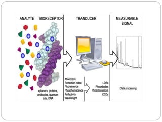 Rapid methods of detection of food borne pathogens | PPTX