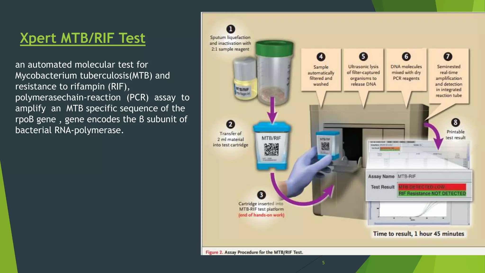 molecular detection of tuberculosis and rifampin resistance. | PPTX ...
