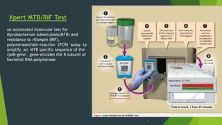 molecular detection of tuberculosis and rifampin resistance. | PPTX ...