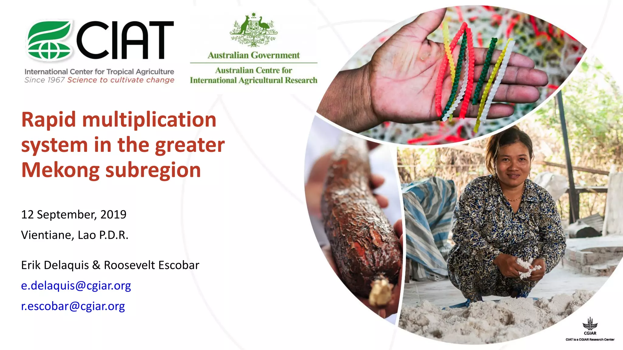 Rapid multiplication systems in the greater Mekong subregion | PDF