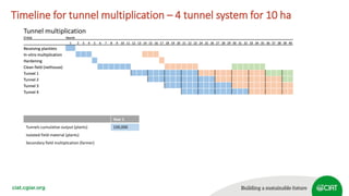Rapid multiplication systems in the greater Mekong subregion | PDF