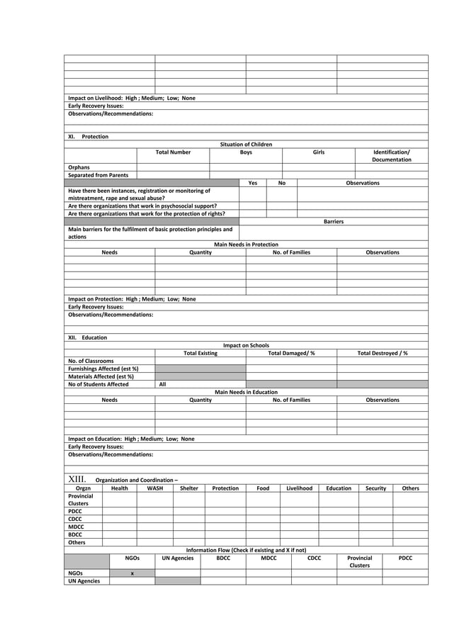 Step 1. Rapid Needs Assessment Form | DOC