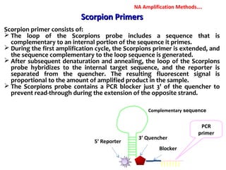 Rapid pathogen detection methods | PPT