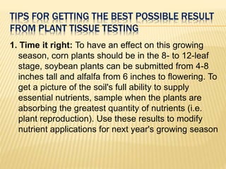 Rapid plant tissue test | PPTX