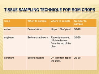 Rapid plant tissue test | PPTX
