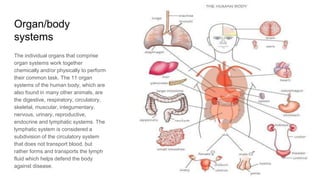 Rapid response systems | PPTX
