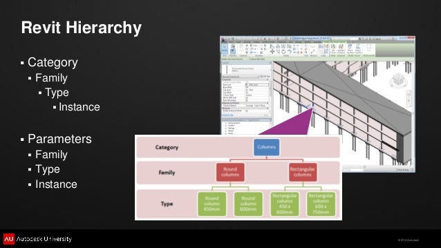 Rapid Revit Data Ex Final11.26.12