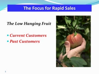 Rapid Sales System Presentation | PPTX