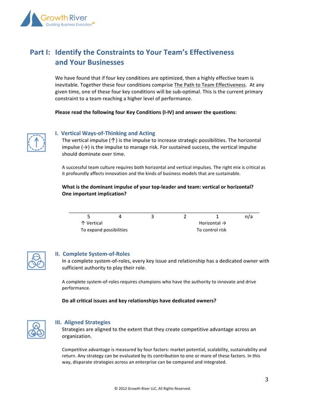 Rapid Team Performance Assessment | PDF