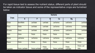 Rapid tissue test for plants | PPTX