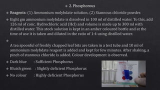 Rapid tissue test for plants | PPTX