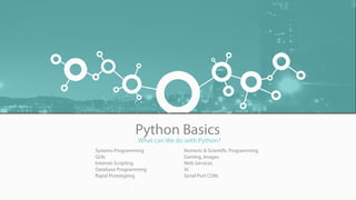 Rapid Web Development with Python for Absolute Beginners | PPT