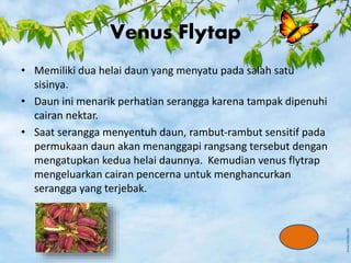 Ciri Khusus Beberapa Hewan dan Tumbuhan/SD kelas 6 by syifadhila | PPTX