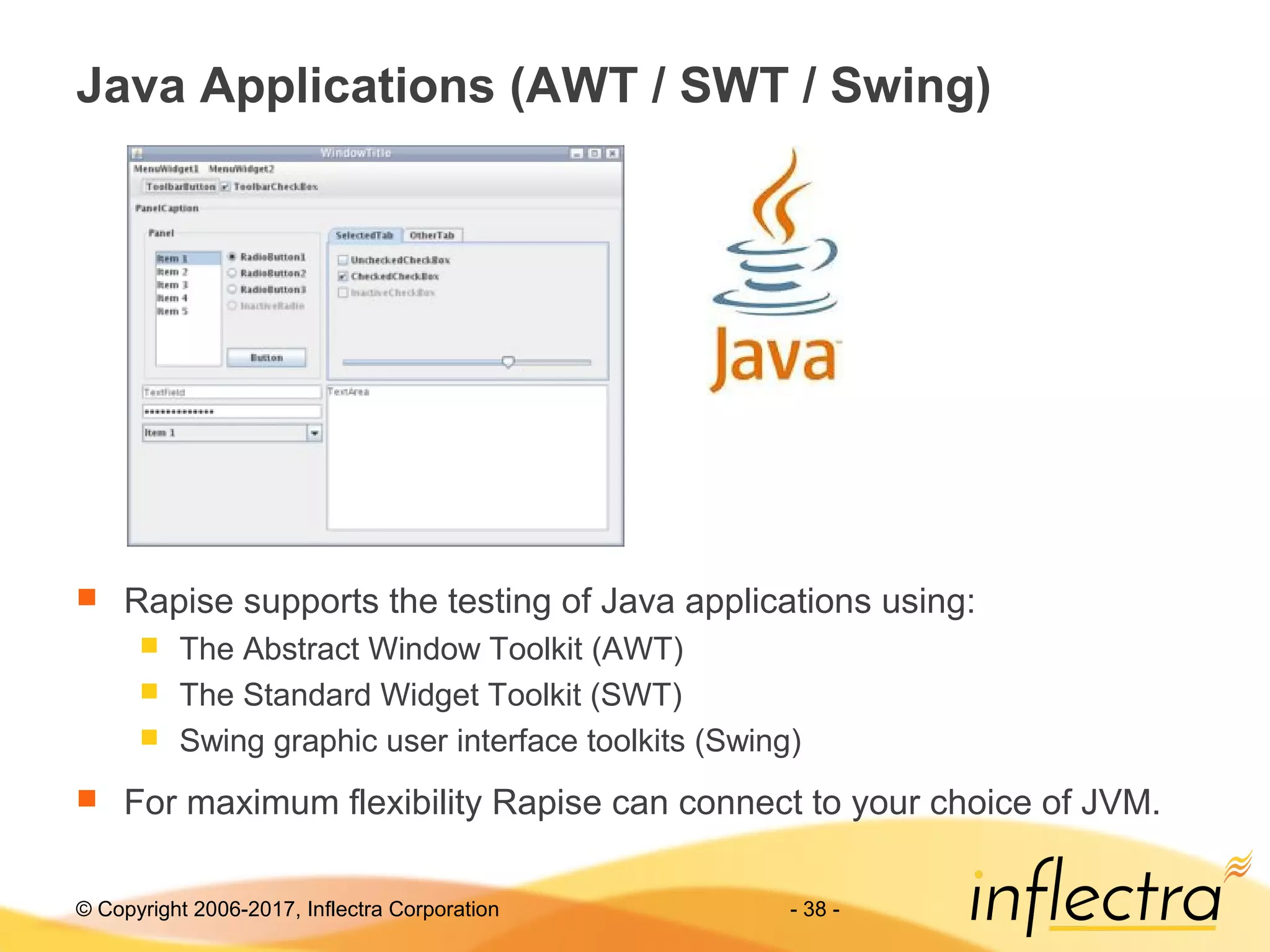 Rapise Overview Presentation | PPT